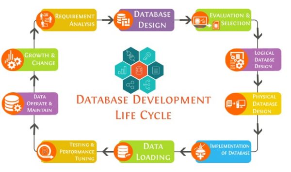 Database Development – MayaLogic